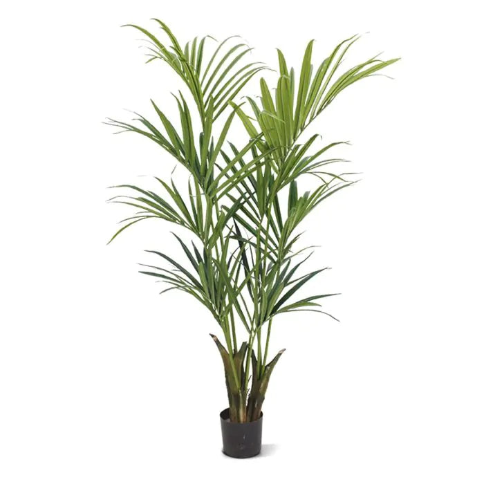 Palma Kentia Deluxe 165 cm – Prato Sintetico Italia